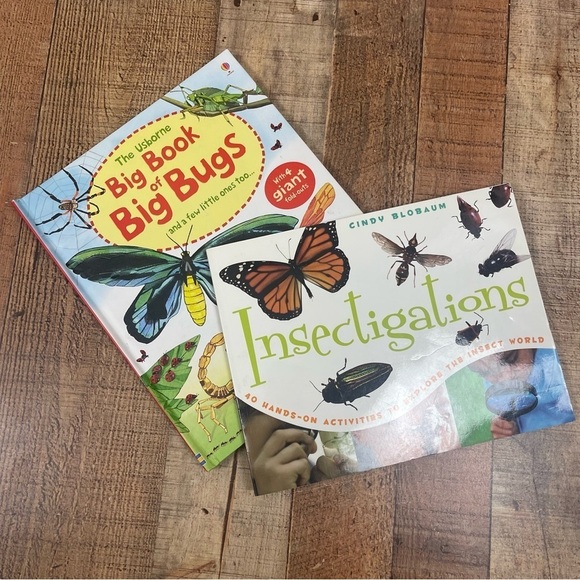 usborne | Other | Big Book Of Bugs Insectigations Insects Picture Book ...